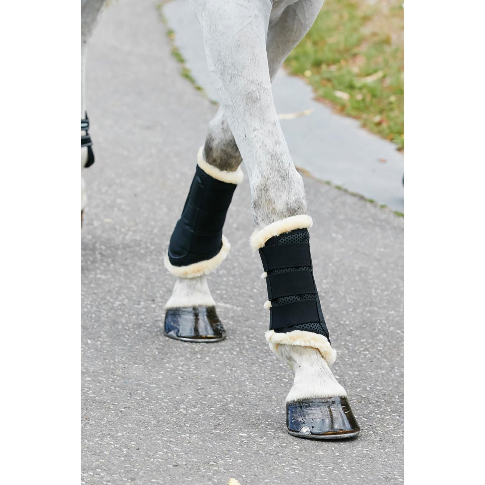 Pure Wool Lined Exercise Boots Black C – horze