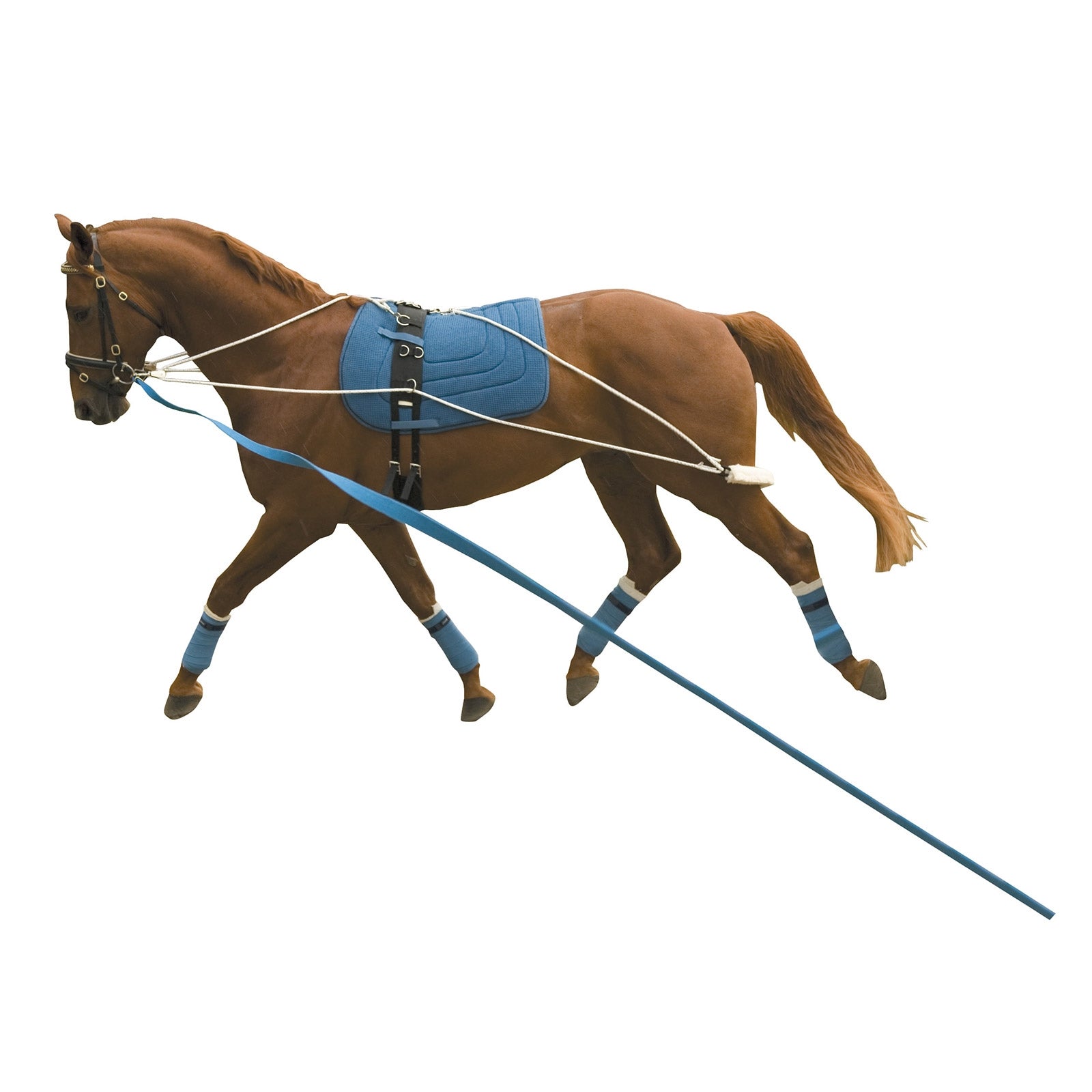 Longeer en Trainingssysteem Black One Size – horze