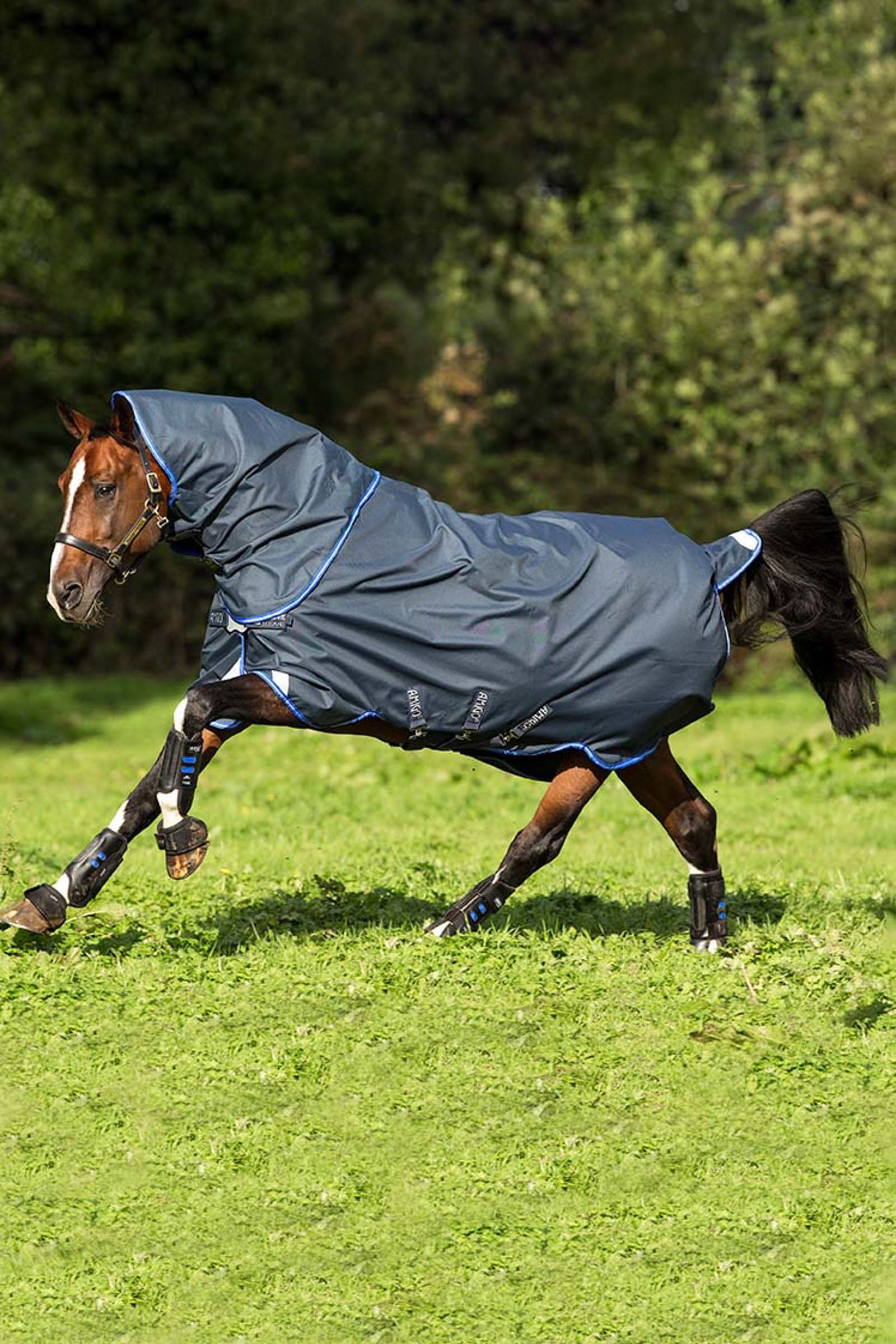 Amigo Bravo 12 Plus Disc Turnout Rug with Detachable Neck, 0g Navy/Blu ...