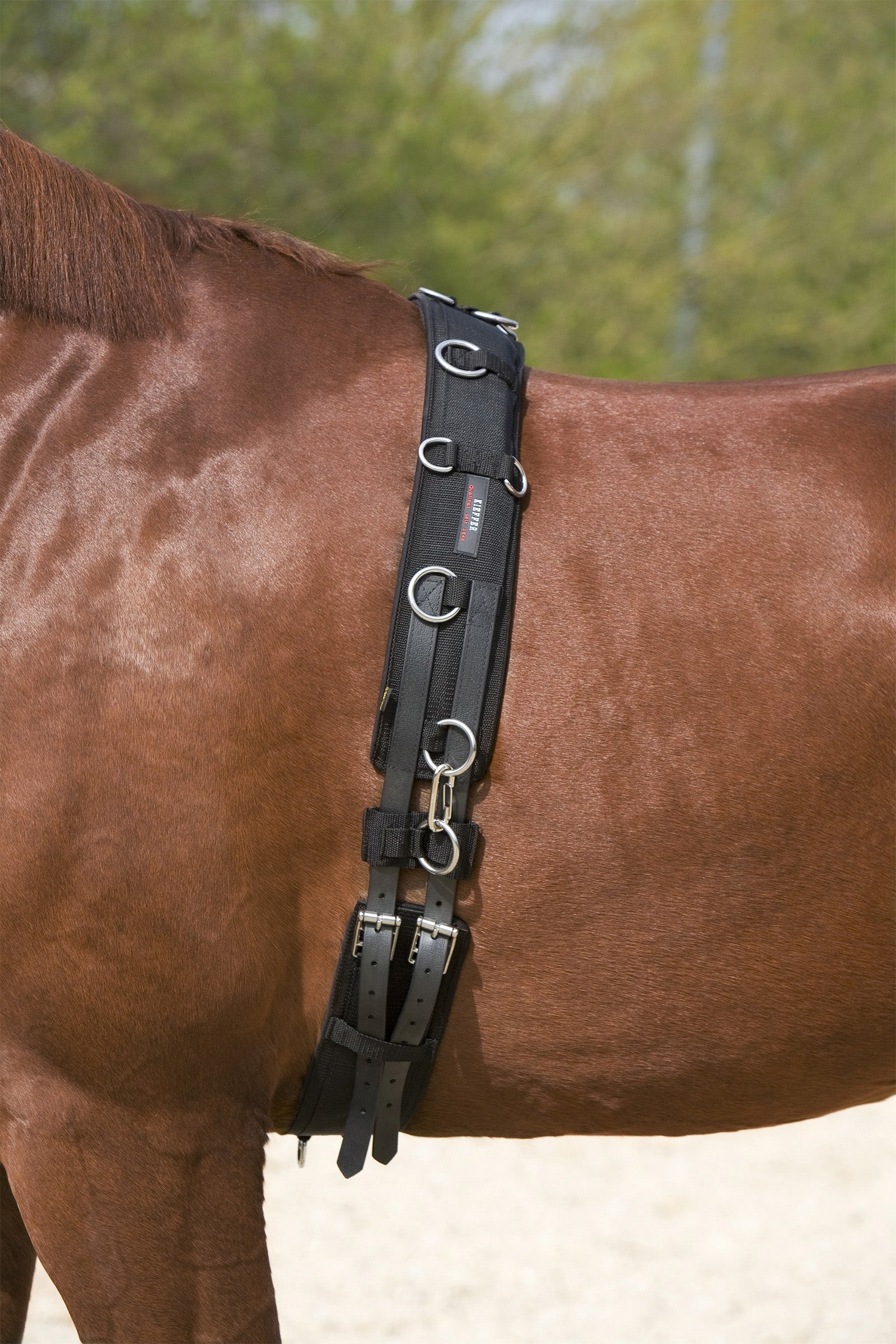 Lunging Girth Black P – horze