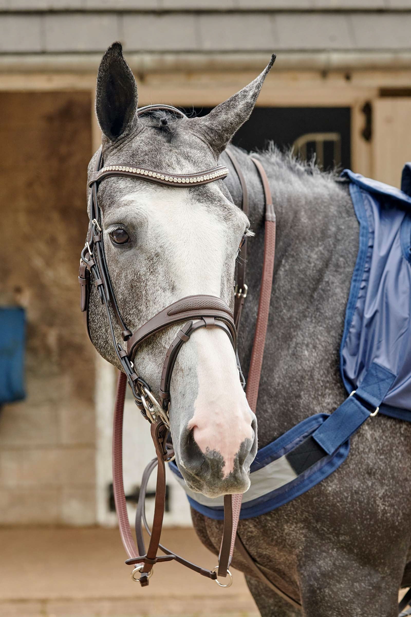 Chicago Perforated Bling Bridle Dark Brown P – horze