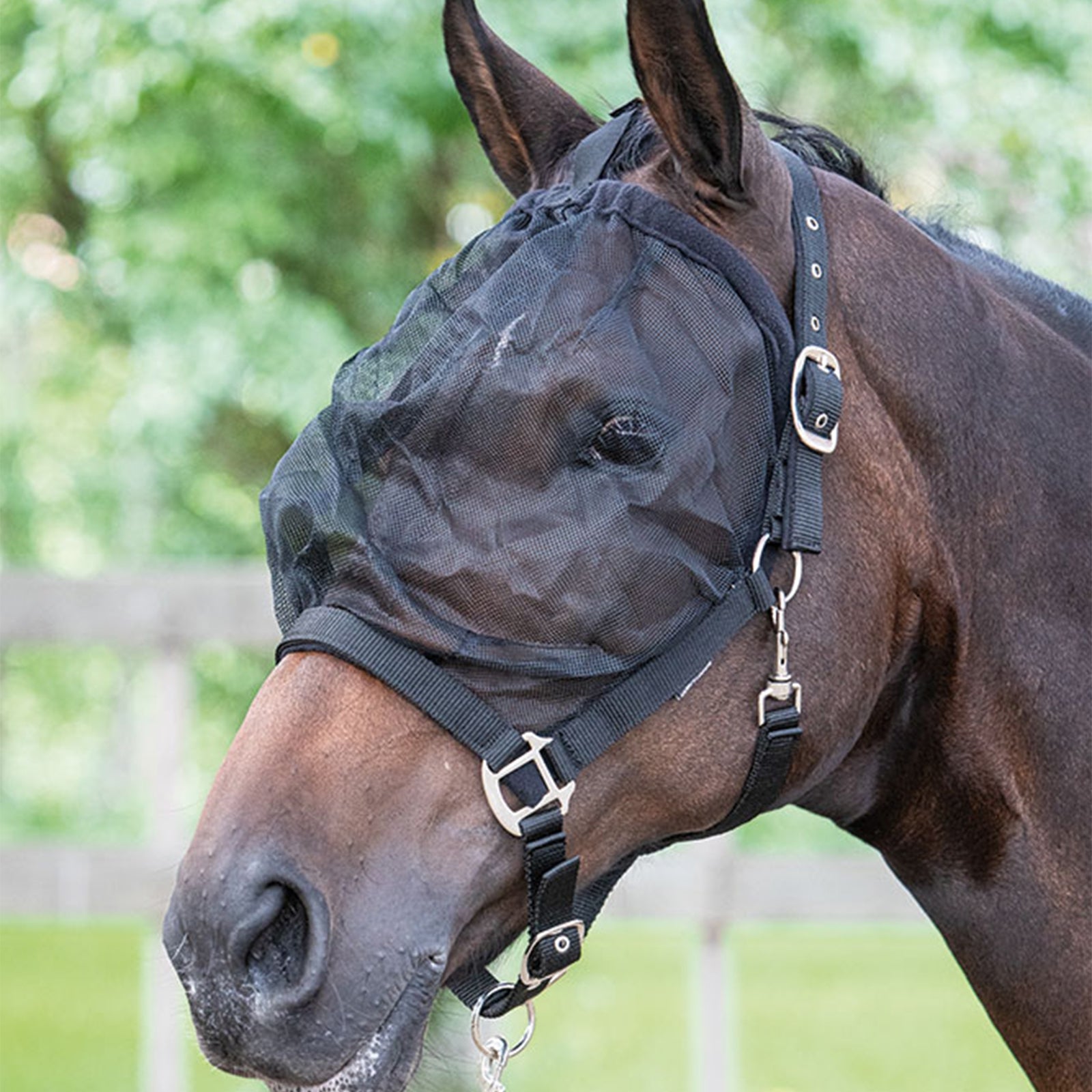 Fly Mask Headcollar Black P – horze