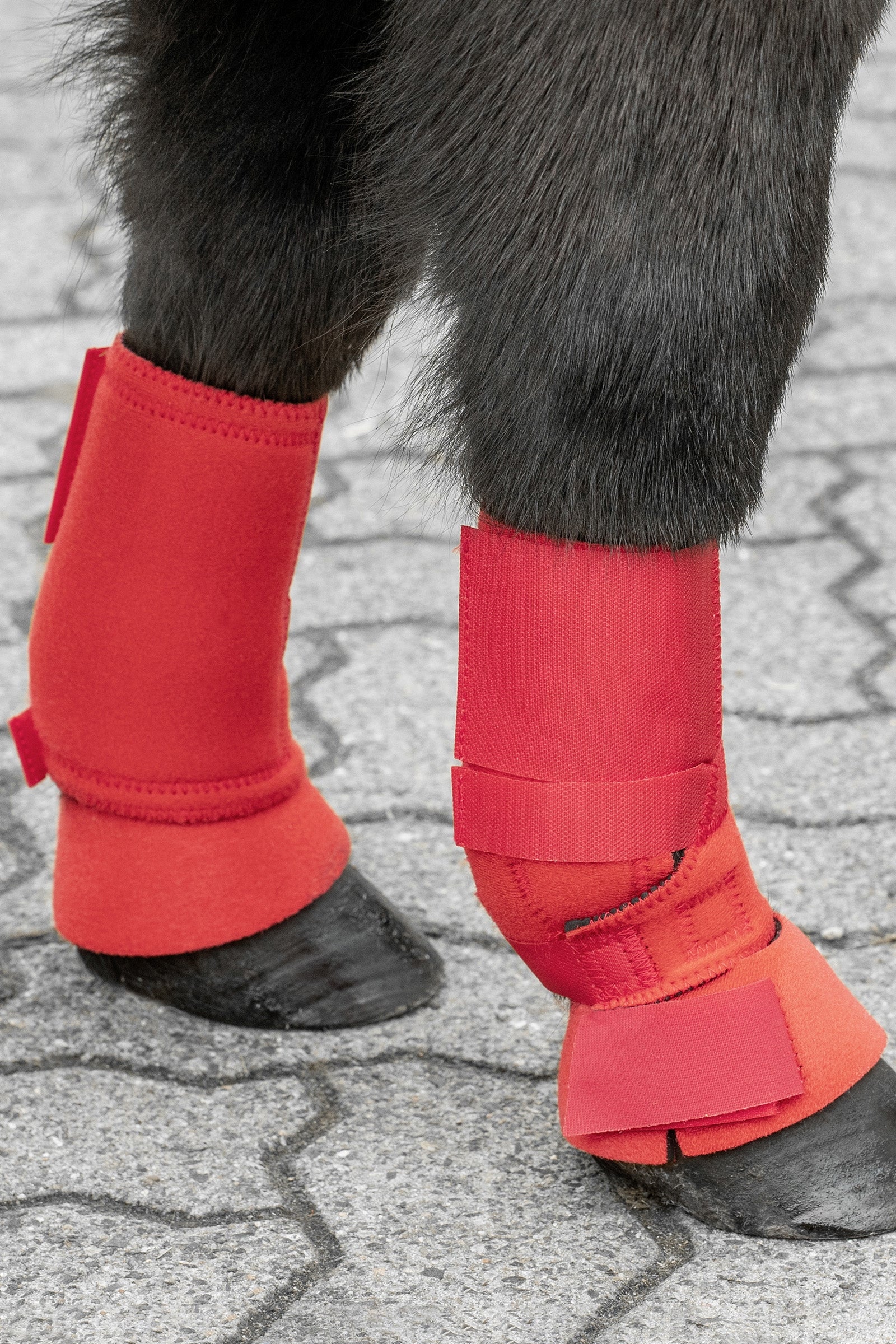 Shetty Exercise Boots Red SHP – horze