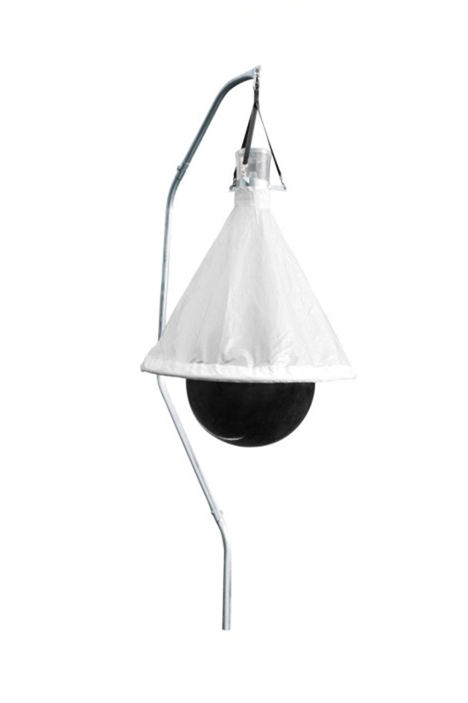 Kerble Dazenval TaonX 1 – horze