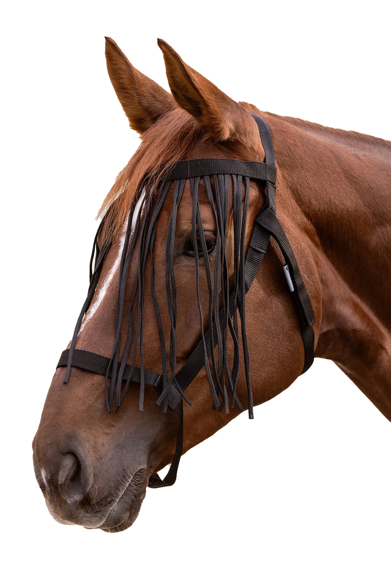 Grazing Halter With Fly Fringe Black SHP – horze