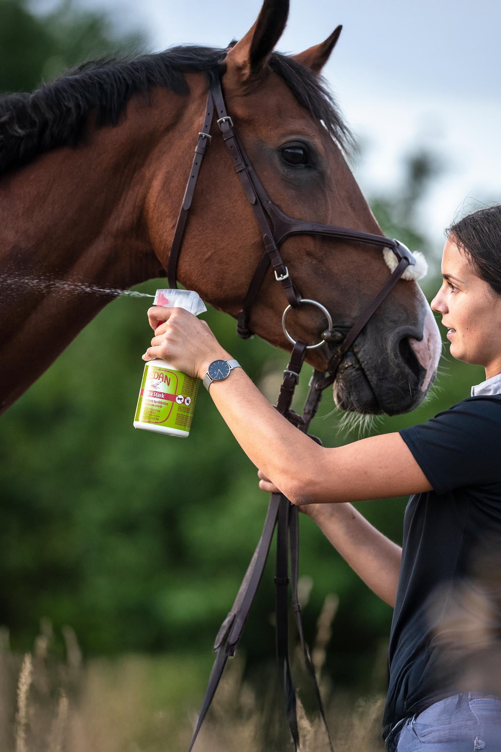 SP Extra Strong Insect Protection Spray Lotion 500ml White 500 – horze