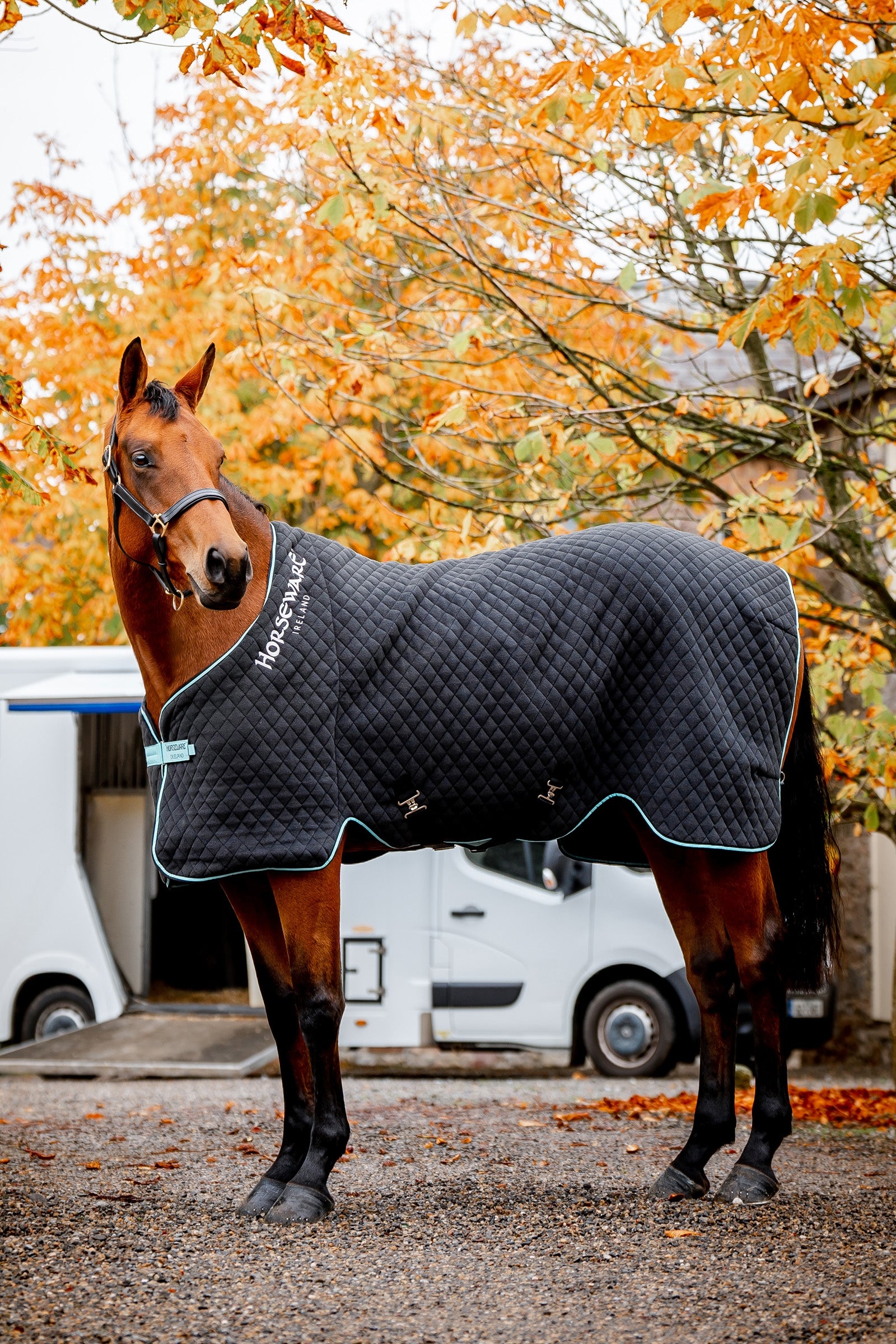 Autumn cooler Black/Aqua 165 – horze