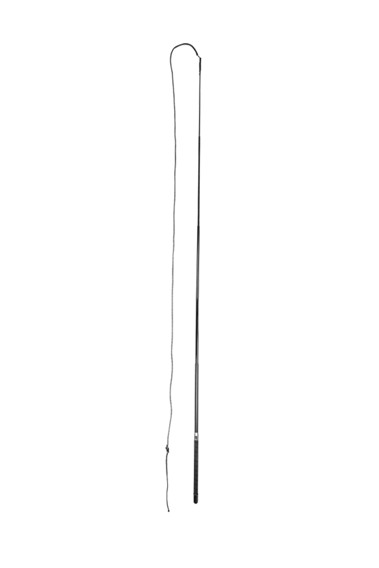Longeerzweep Superlight van Waldhausen black 180 – horze