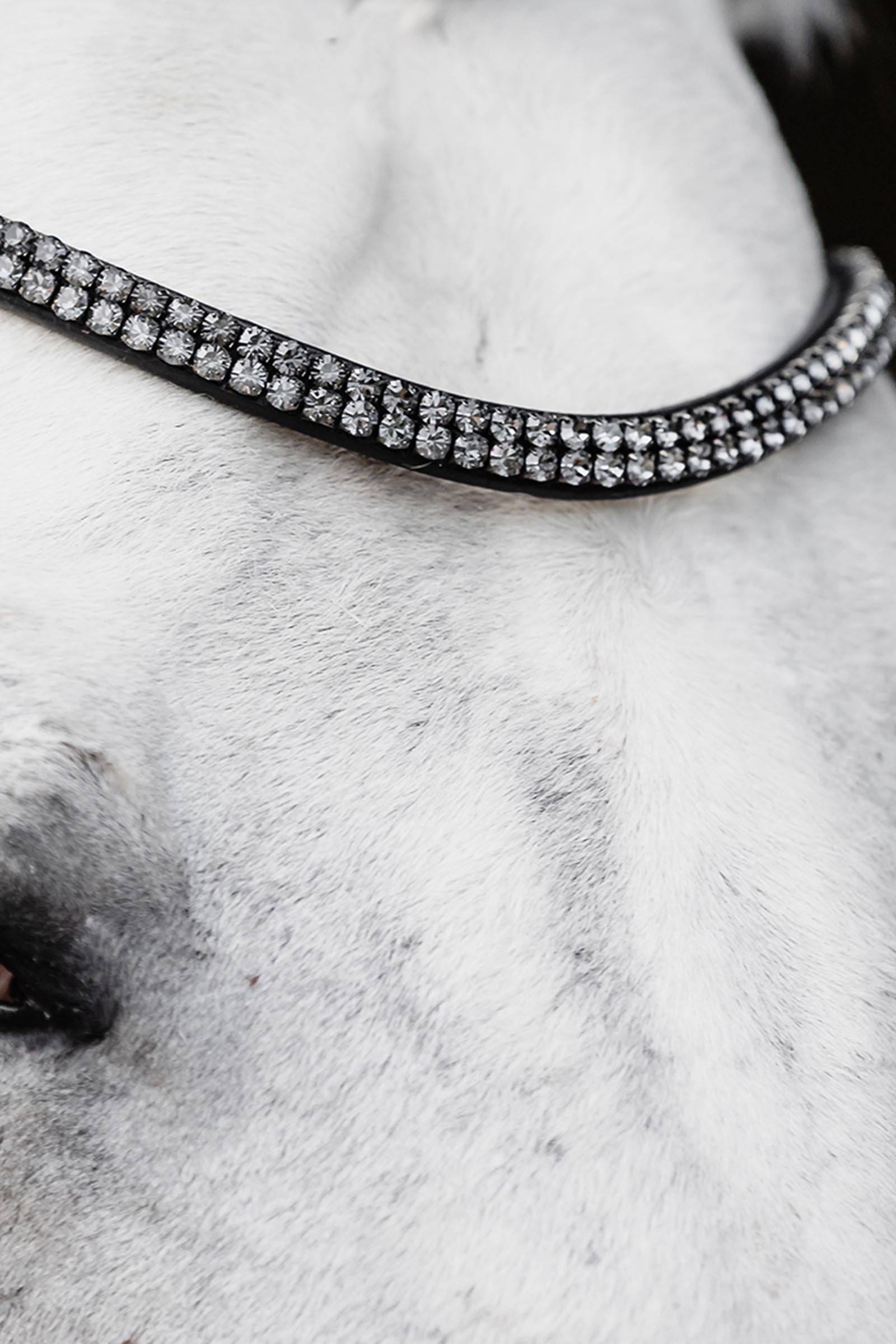 Satchmo Bridle - Isabell Werth Collection black/silver C – horze